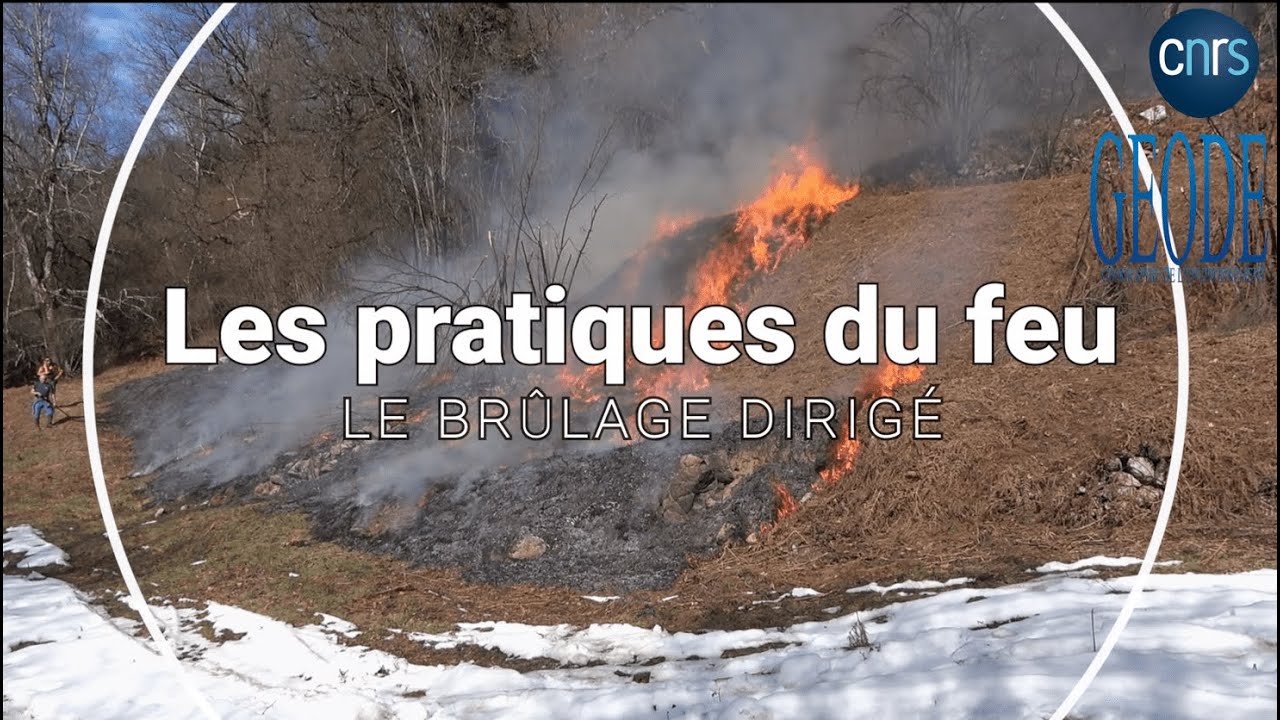 Les pratiques du feu : Le brûlage dirigé - YouTube