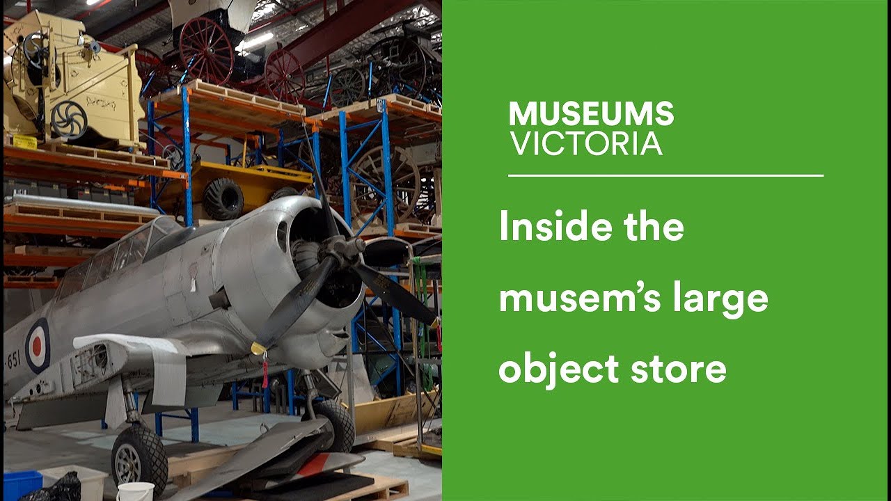 Inside the museum's large object store - YouTube