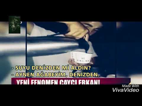 küçük çaycı