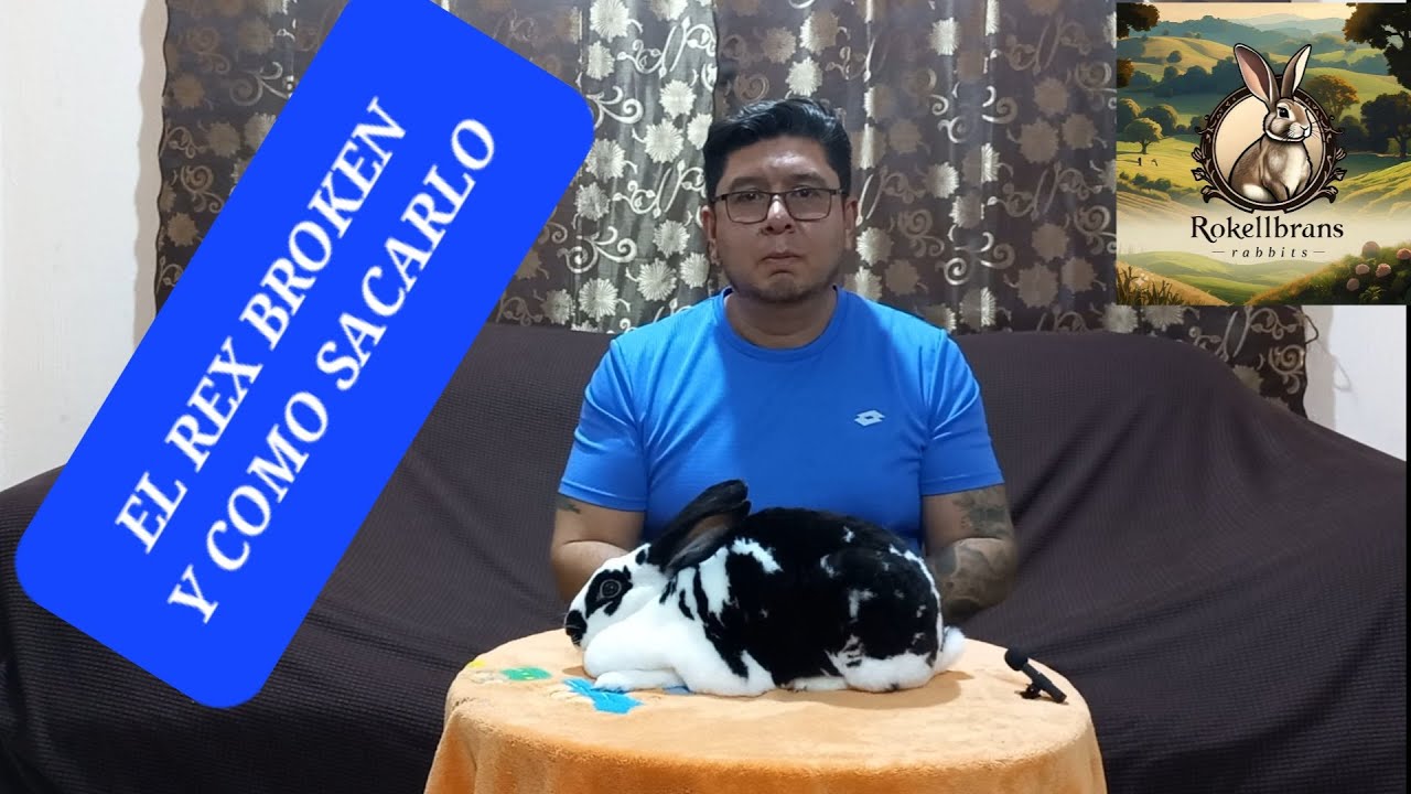 EL REX BROKEN Y COMO SACARLO - YouTube