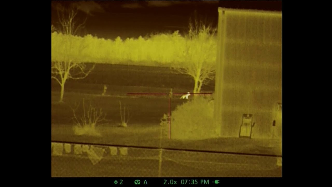 Exploding Coyote - YouTube