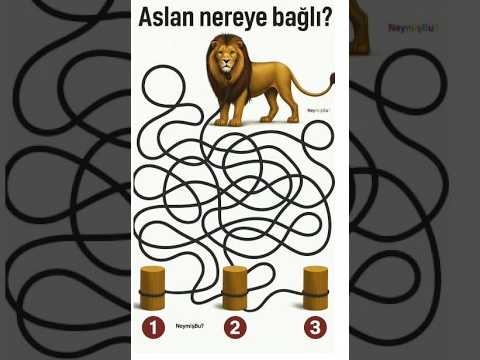 Niko Baba Canlı #keşfet #shorts #viral #live