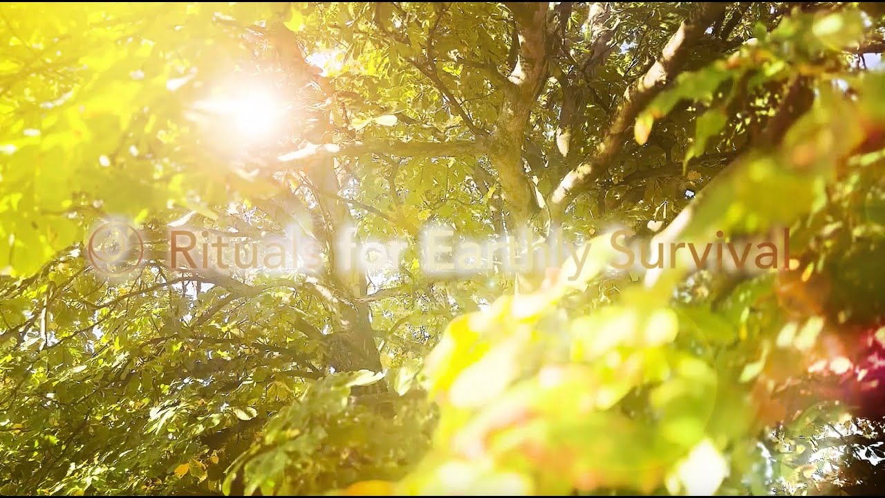 Rituals for Earthly Survival: step into the forest, awaken the magic ...