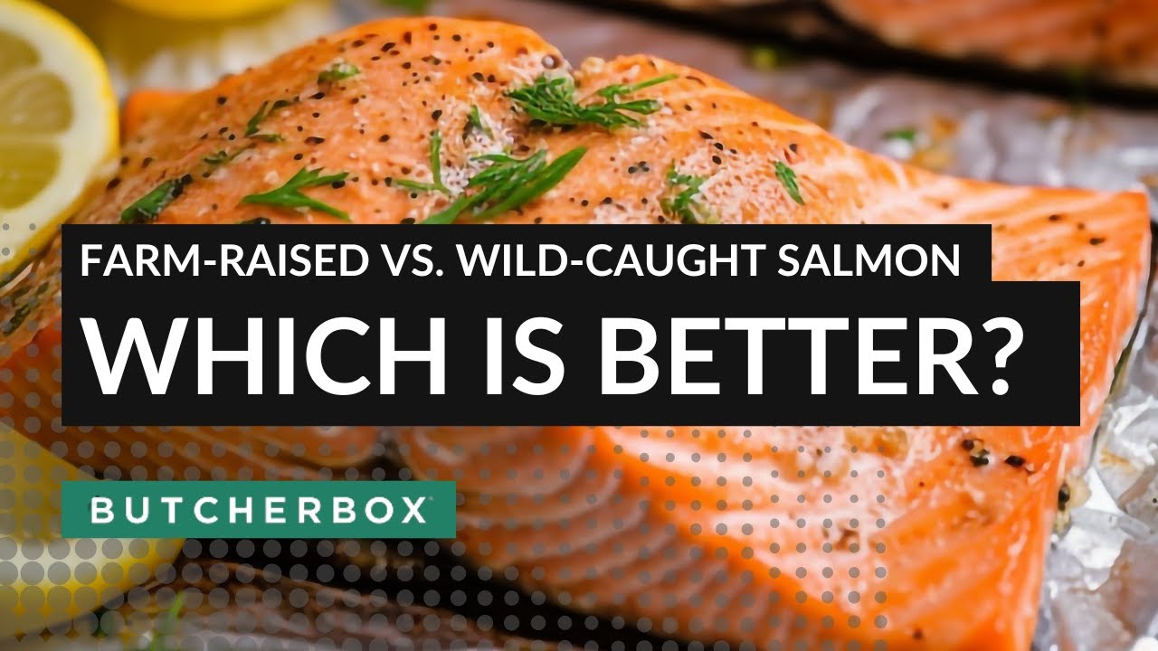 Farm-Raised vs. Wild-Caught Salmon: Which is Better? #food #recipe # ...