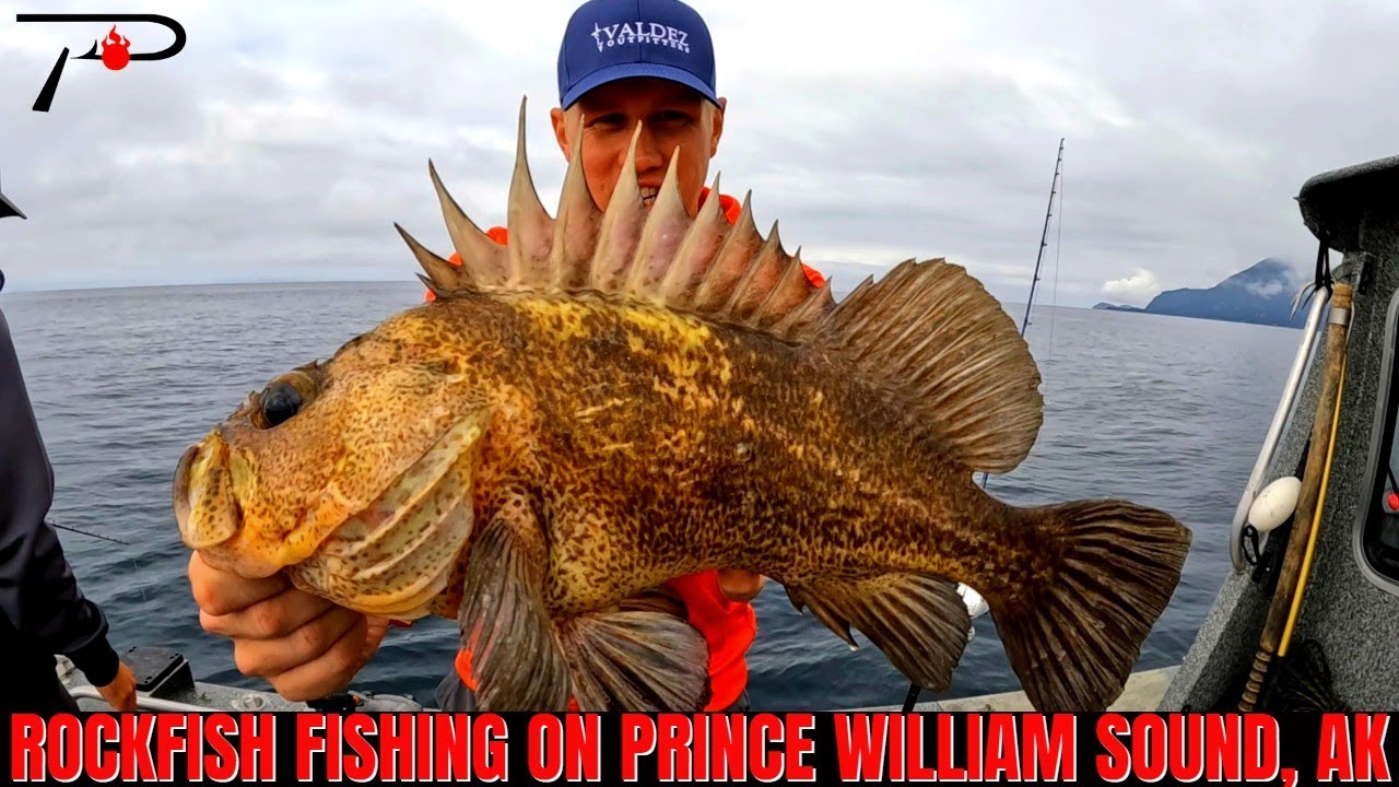 Prince William Sound Rockfish Fishing - YouTube