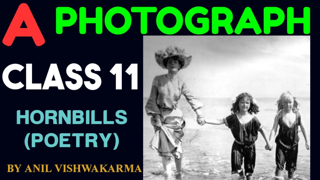 A PHOTOGRAPH | CLASS 11 | HORNBILLS: POEM | BY SHIRLEY TOULSON | ANIL ...