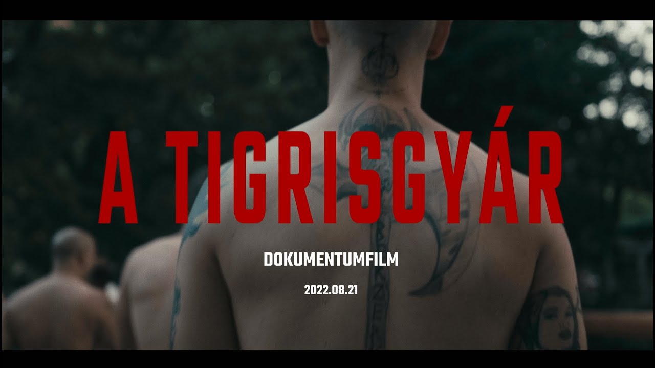 A tigrisgyár (The tiger factory) Documentary Trailer | Abelfilm - YouTube