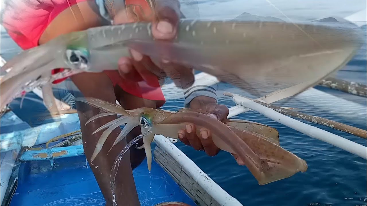 Amazing cateh big pusit lumot catch and sell 😍🦑 - YouTube