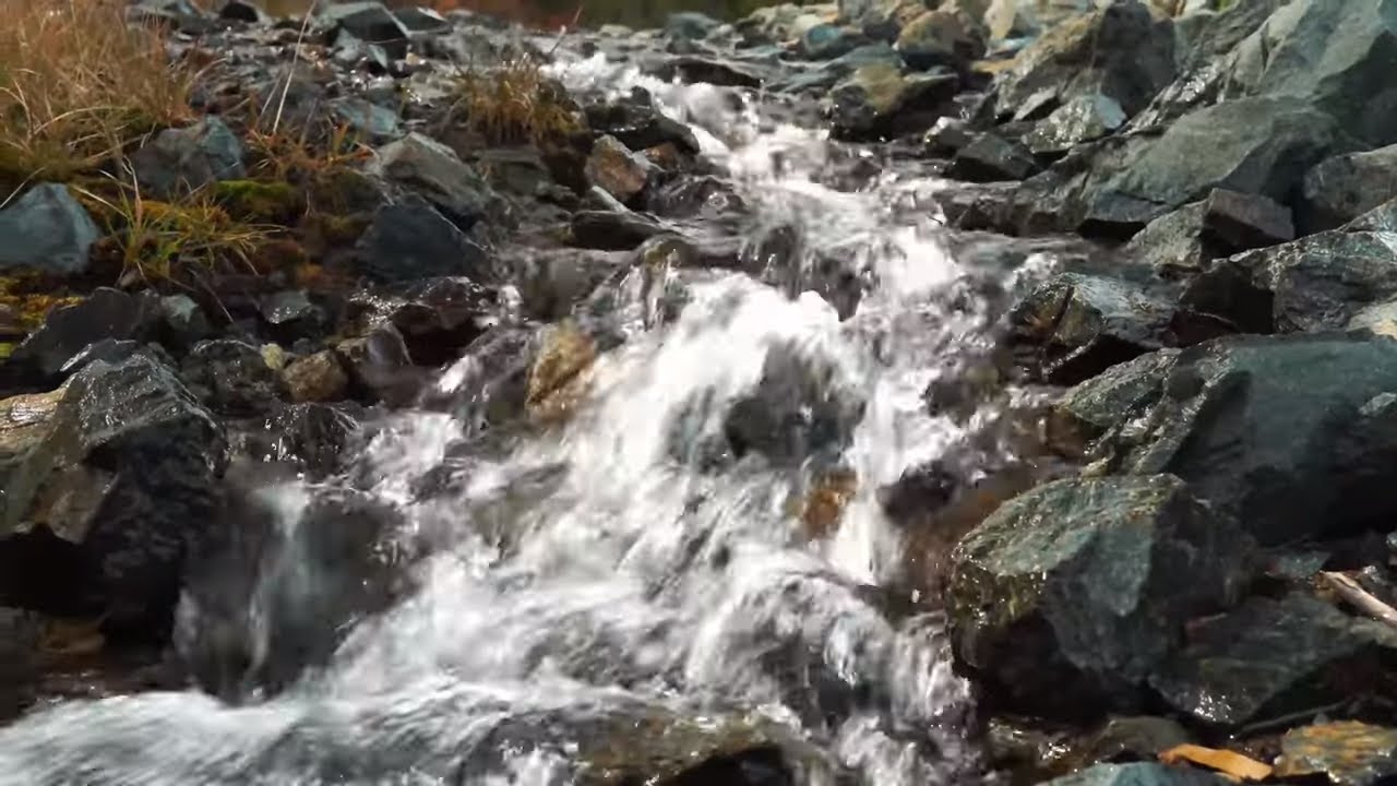 NATURAL SOUND - YouTube