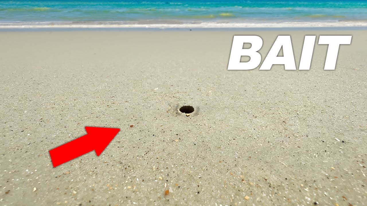 This tiny hole has BIZARRE Fishing Bait.. (Fishing Experiment) - YouTube