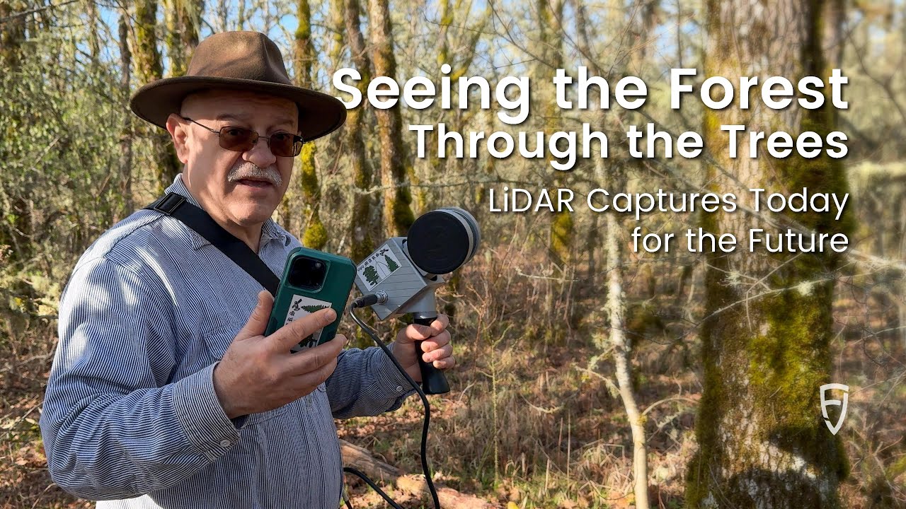 Seeing the Forest Through the Trees: "LiDAR Captures Today for the ...