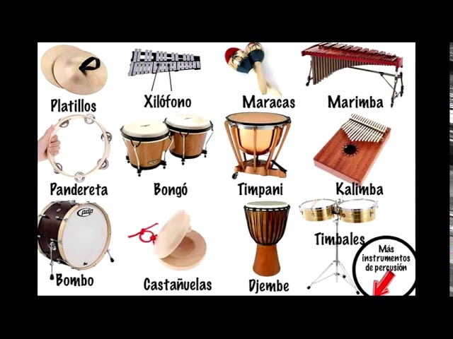 Instrumentos De Percusión Con Nombres