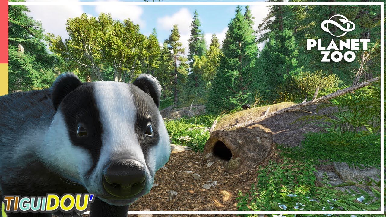 THE SET! | Badger Habitat | Tiguidou Zoo Episode 15 | Planet Zoo - YouTube