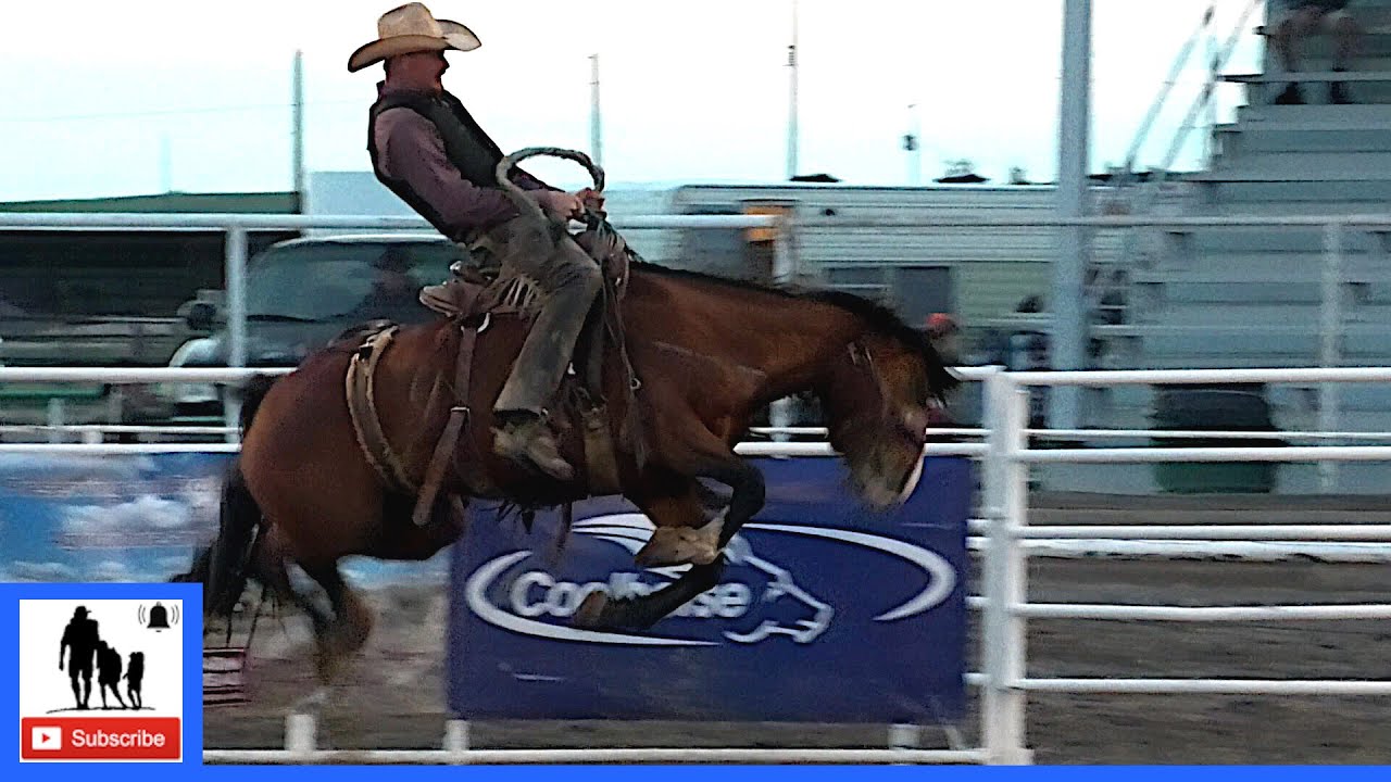 Bronc Riding Set 2 - 2021 Colorado Championship Ranch Rodeo | Saturday ...