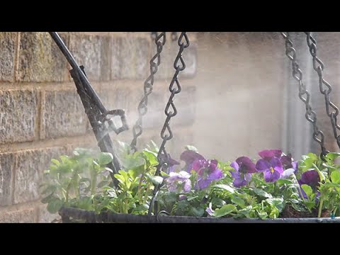 How to Use an Inverted Micro Sprinkler to Water Hanging Baskets - YouTube