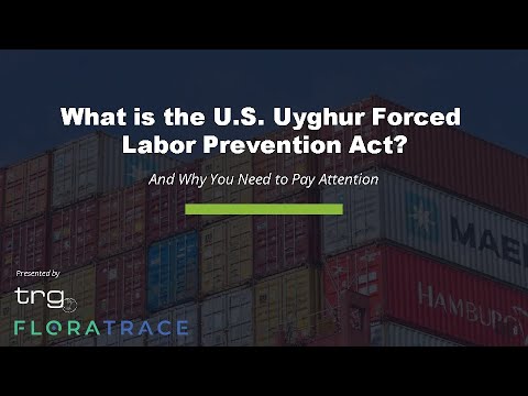 What is the Uyghur Forced Labor Prevention Act? [Full Webinar] - YouTube