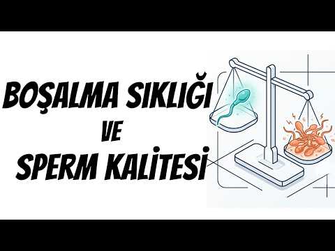Yeni Bilgiler / Boşalma Sıklığı ve Sperm Kalitesi