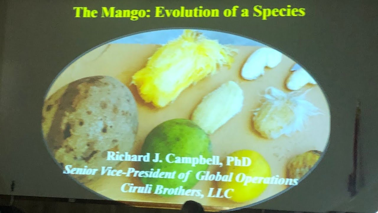 The Mango: Evolution of a Species by Richard J Campbell Phd - YouTube