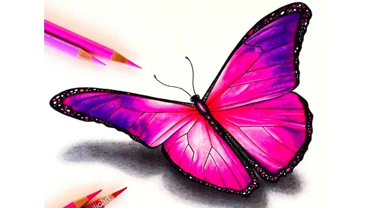 "How to Draw a Stunning Butterfly with Colored Pencils? | Step-by-Step ...