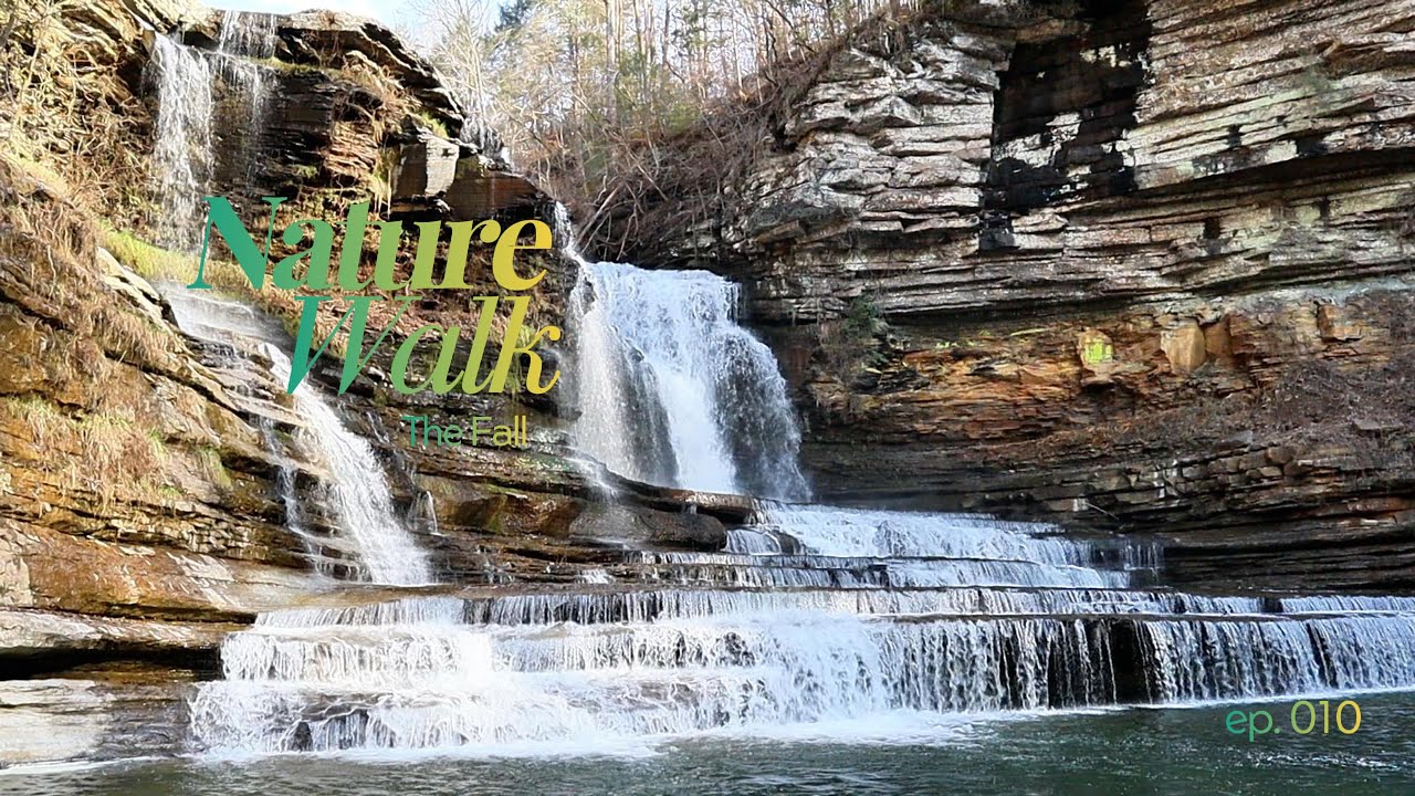 Nature Walk Episode 10 | The fall - YouTube