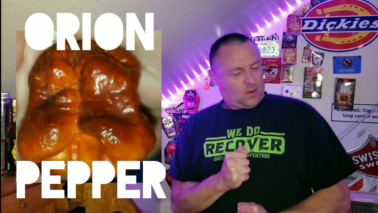 Orion pepper - YouTube