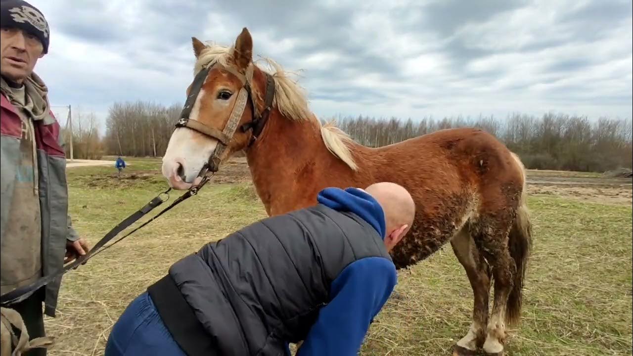 Лыска с (козьей ножкой) - YouTube