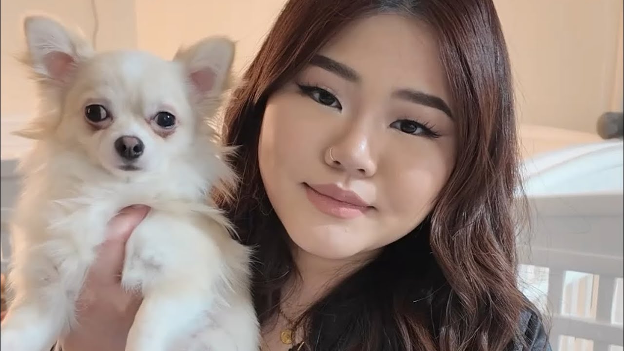 Barley, Bayleaf & Basil’s new playpen setup + Get to know Basil ️ FULL VIDEO - YouTube