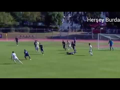 Fenerbahçe 3 Fulham 0 maç özeti 18.07.2018