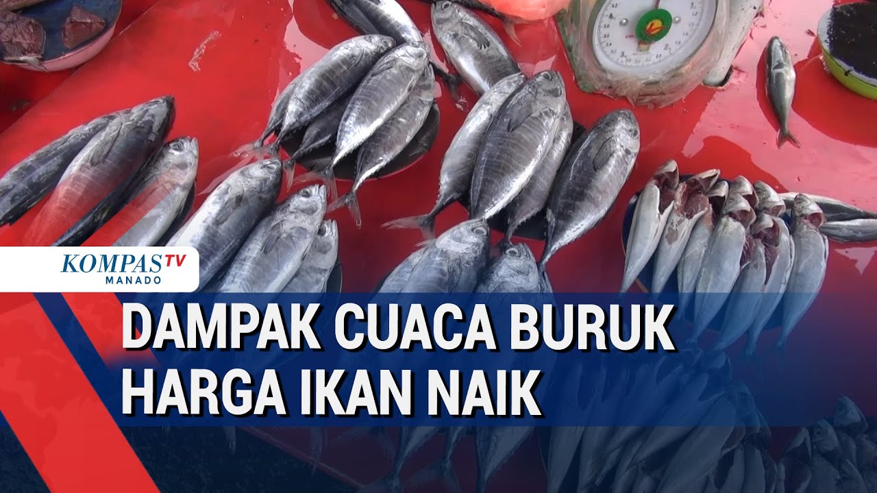Dampak Cuaca Buruk, Harga Ikan Naik - YouTube