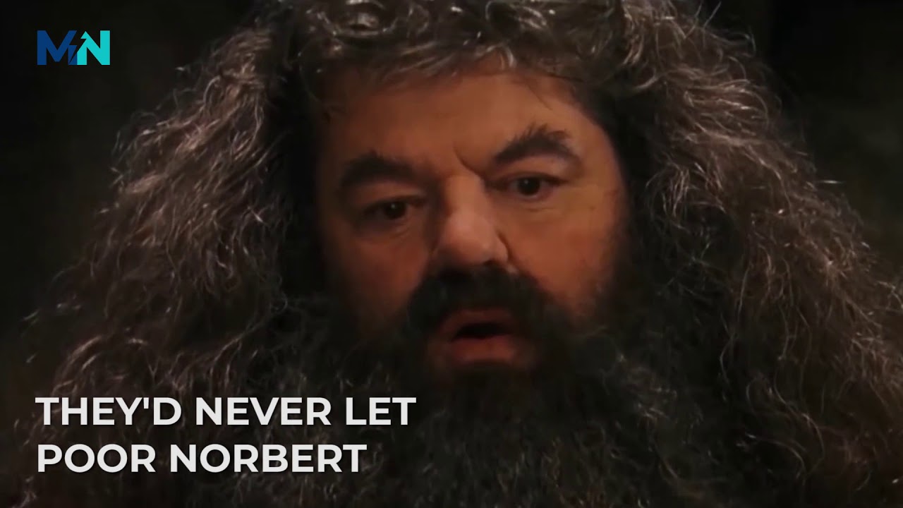 Norbert The Baby Dragon (Rudolph The Red-Nosed Reindeer Parody) - YouTube