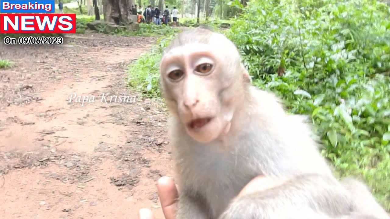 Latest News! Thanks NGO for returning our baby Dawn at her home since ...