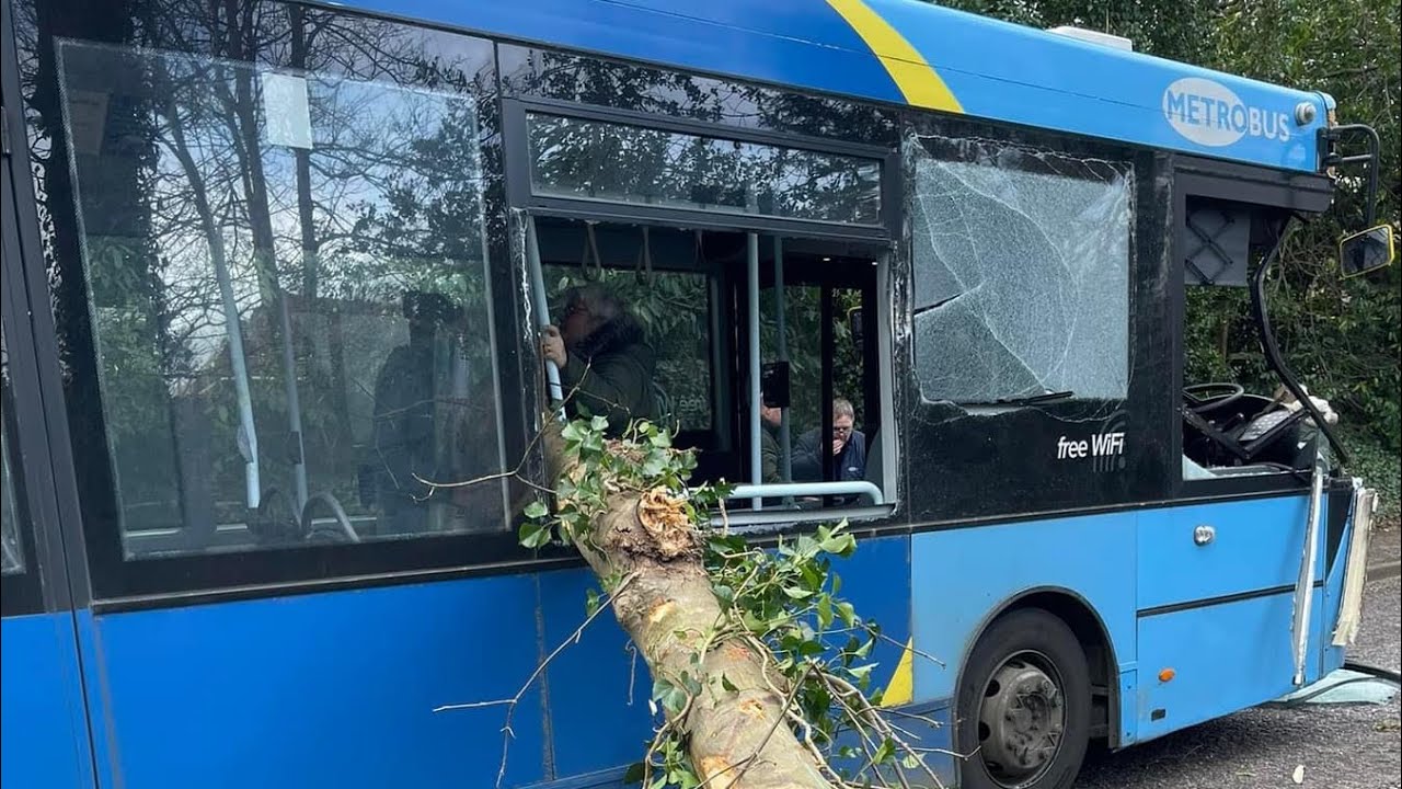 Emergency responders race to Road after tree damaged bus and vehicle ...