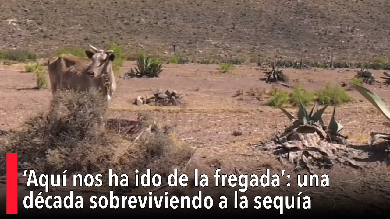 ‘Aquí nos ha ido de la fregada’: una década sobreviviendo a la sequía ...