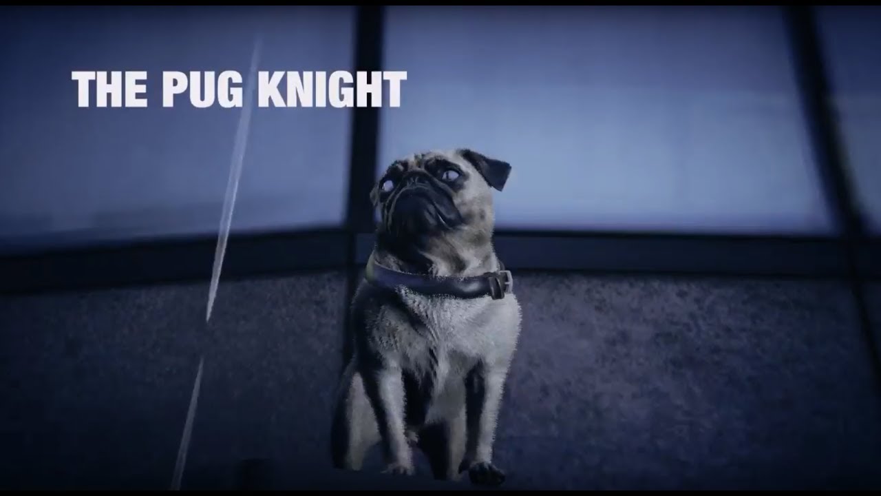 GTA 5 - THE PUG KNIGHT - YouTube