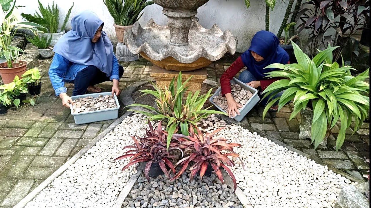 Merombak Tempat Lembab Dan Berlumut Menjadi Lebih Bersih Dan Cantik ...