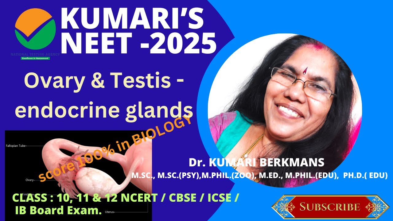 NEET - BIOLOGY 2025 : Testis and Ovaries: CLASS 10, 11 & 12 - NCERT ...