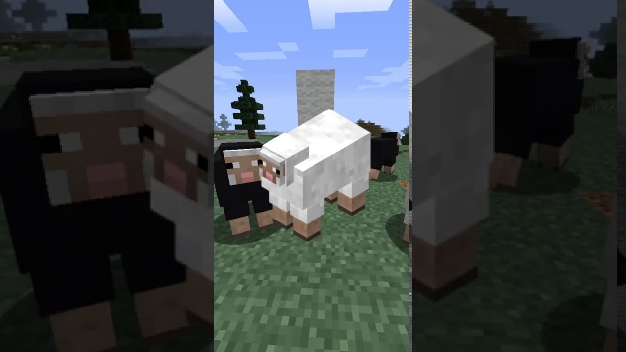 Cosas que no sabías de la Oveja - Minecraft - YouTube