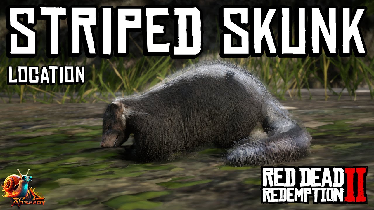 Striped Skunk Location - Red Dead Redemption 2 - YouTube