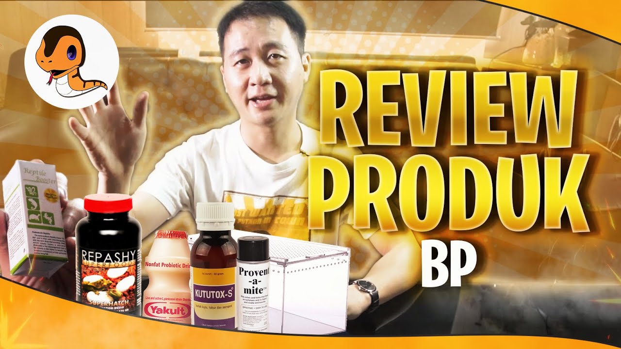 Review Produk2 yang Sering Digunakan DSR Sehari2 + Belinya Dimana - YouTube