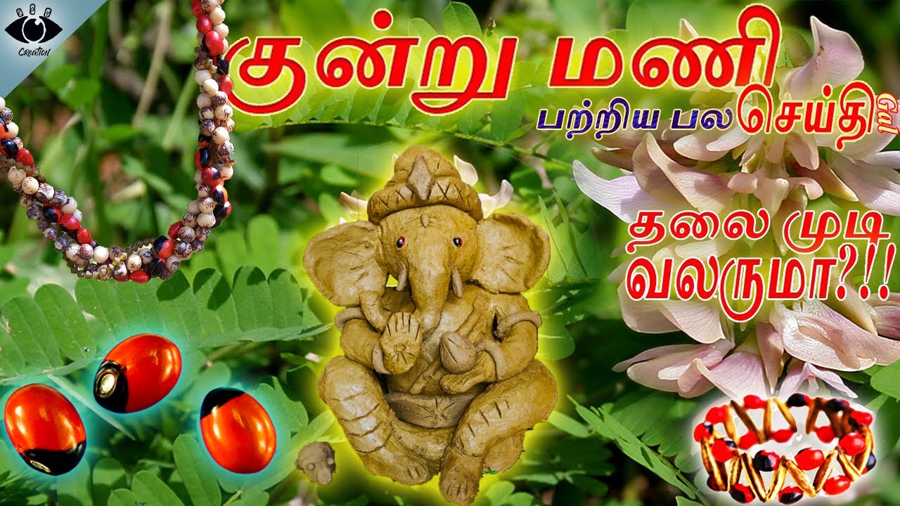 kundrumani Explain in Tamil | AllRoundTamizha | raviCreation - YouTube