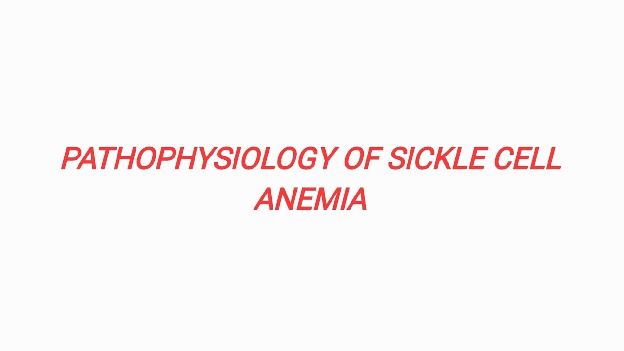 PATHOPHYSIOLOGY OF SICKLE CELL ANEMIA - YouTube