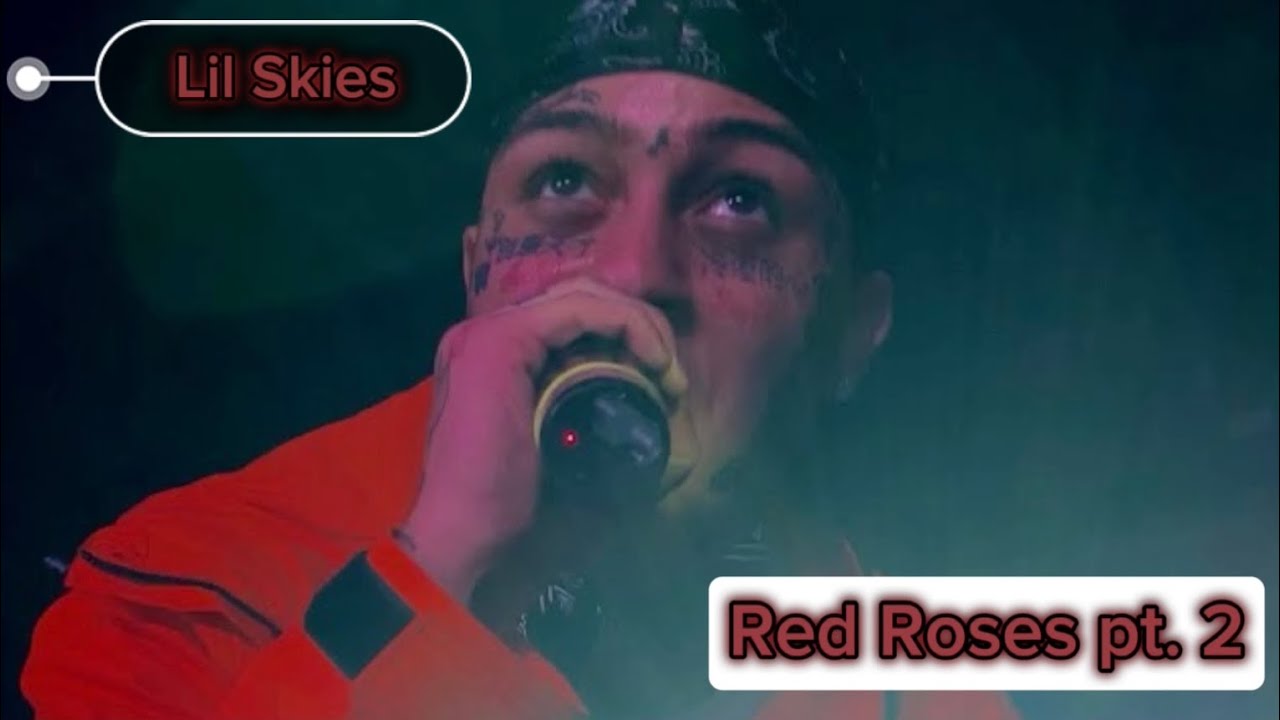 Lil Skies - Red Roses pt. 2 (feat. Landon Cube) (Live in York, PA) 3/13 ...