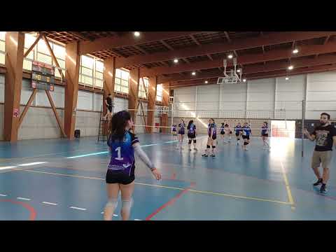 Mix VS Cobras - YouTube