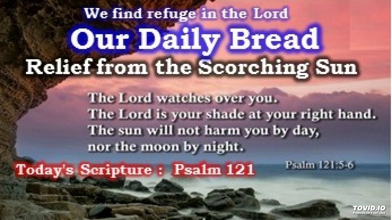Relief from the Scorching Sun - YouTube