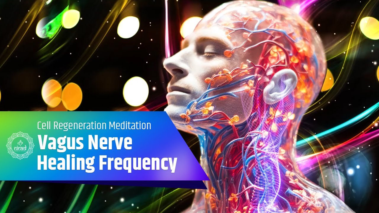 Vagus Nerve Healing Sound Frequency | Cell Regeneration Meditation ...