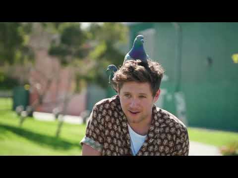 niall horan being the main character