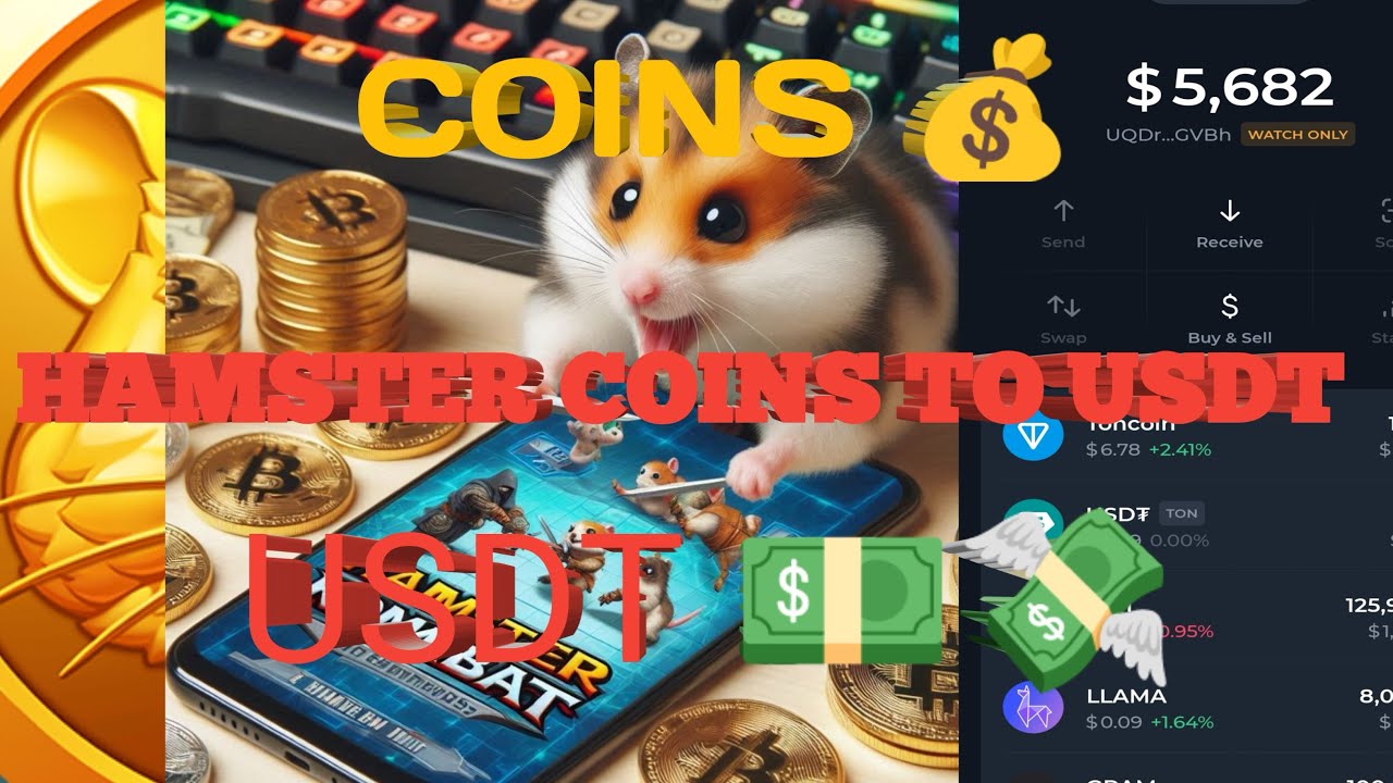 Hamster Kombat New Update | Coins Change To USDT TON Account Add - YouTube