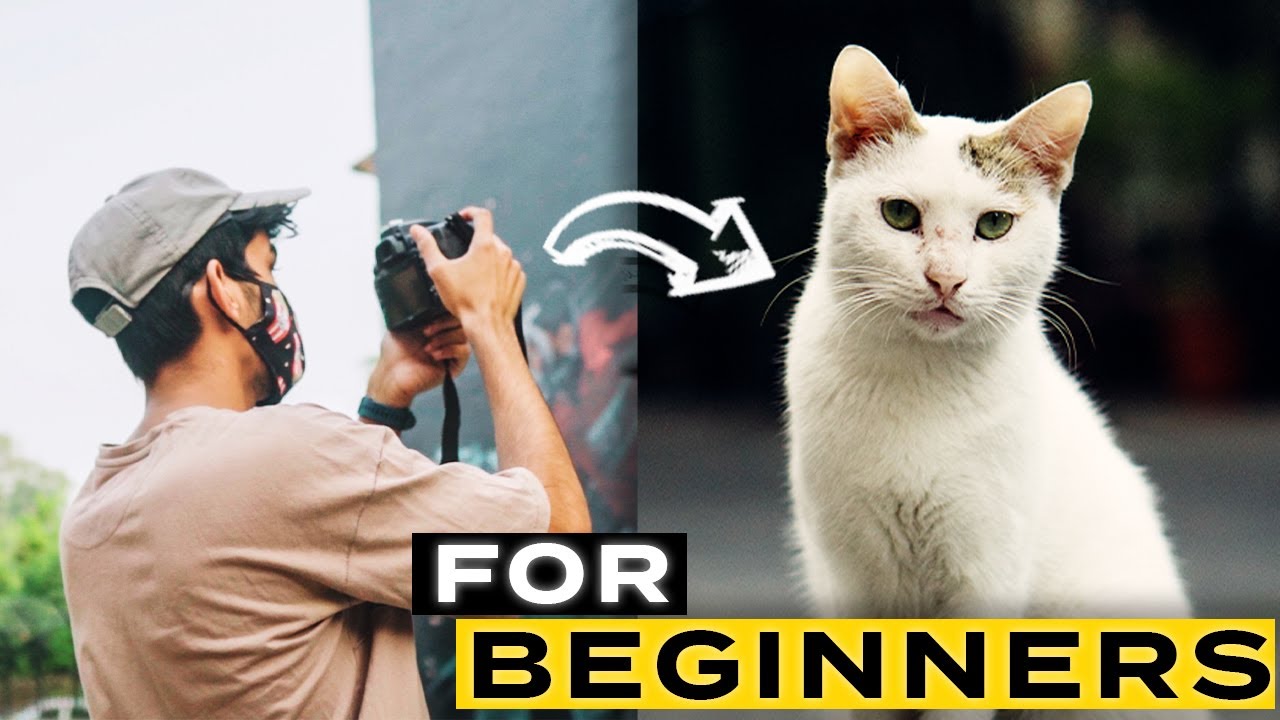 3 Photography secrets Every beginner must know! - YouTube
