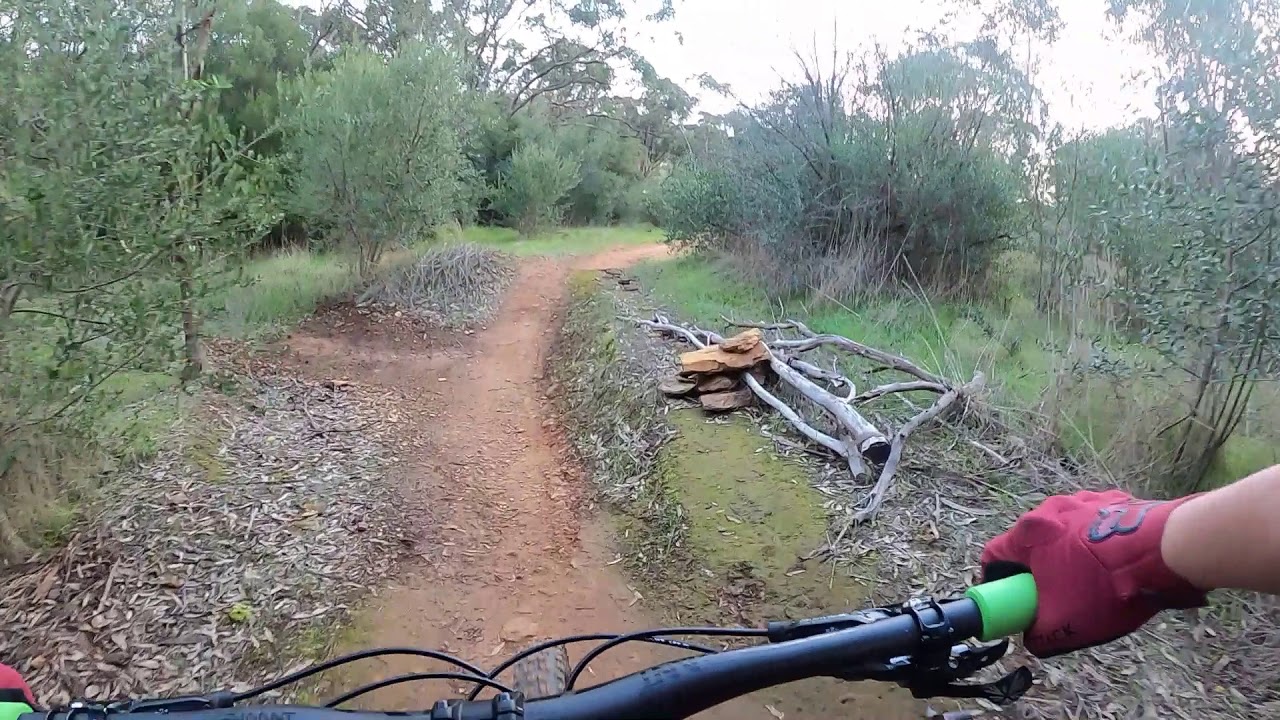 Craigburn Farm MTB trails 06.06.2020 (Craigberms) - YouTube
