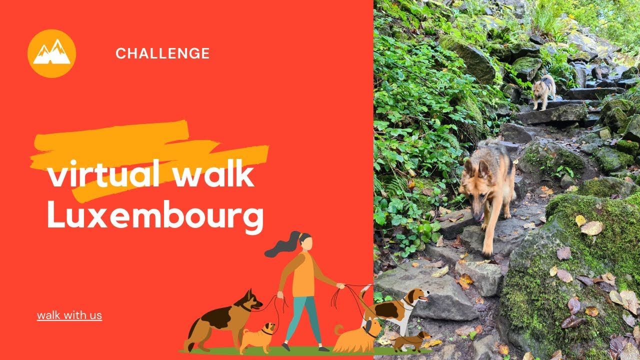Walking Tour Echternach 2022 - Luxembourg - Virtual Walk Tour 2022 ...